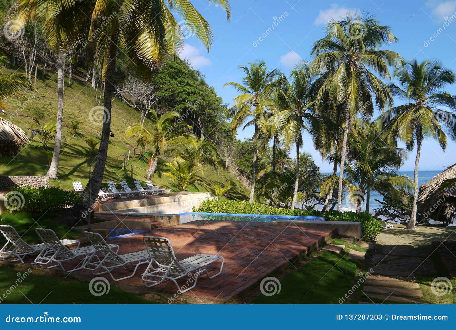 Pool Surrounded by Coconut Trees and Beach Stock Image - Image of ...