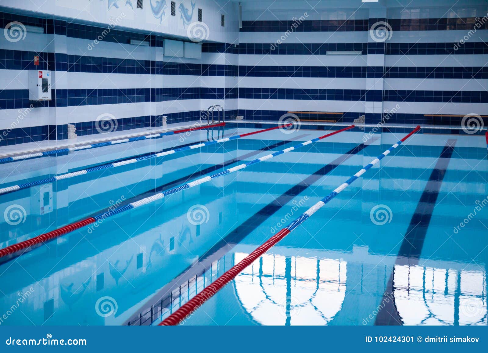 Pool for Swimming Athletes of the Track Stock Image - Image of board ...