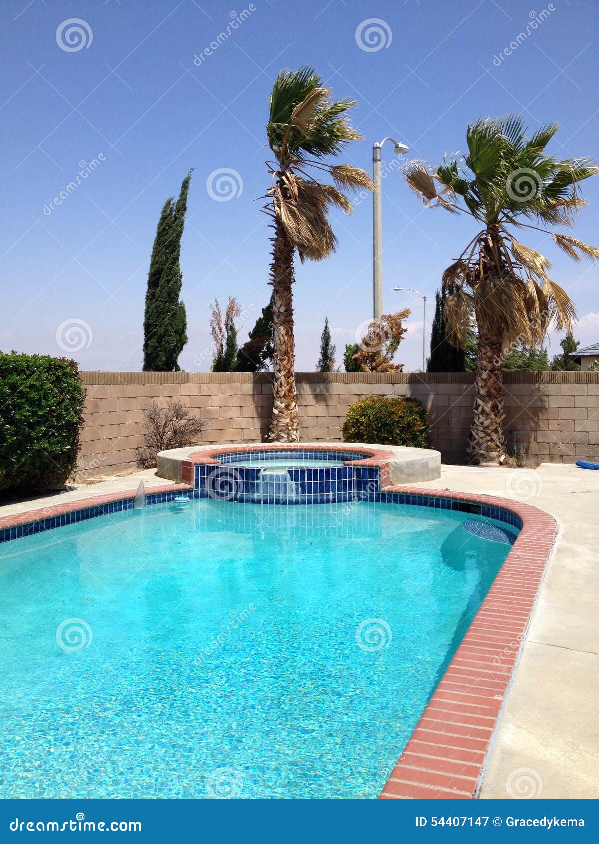 Pool stock image. Image of yard, view, pool, back, swimming - 54407147