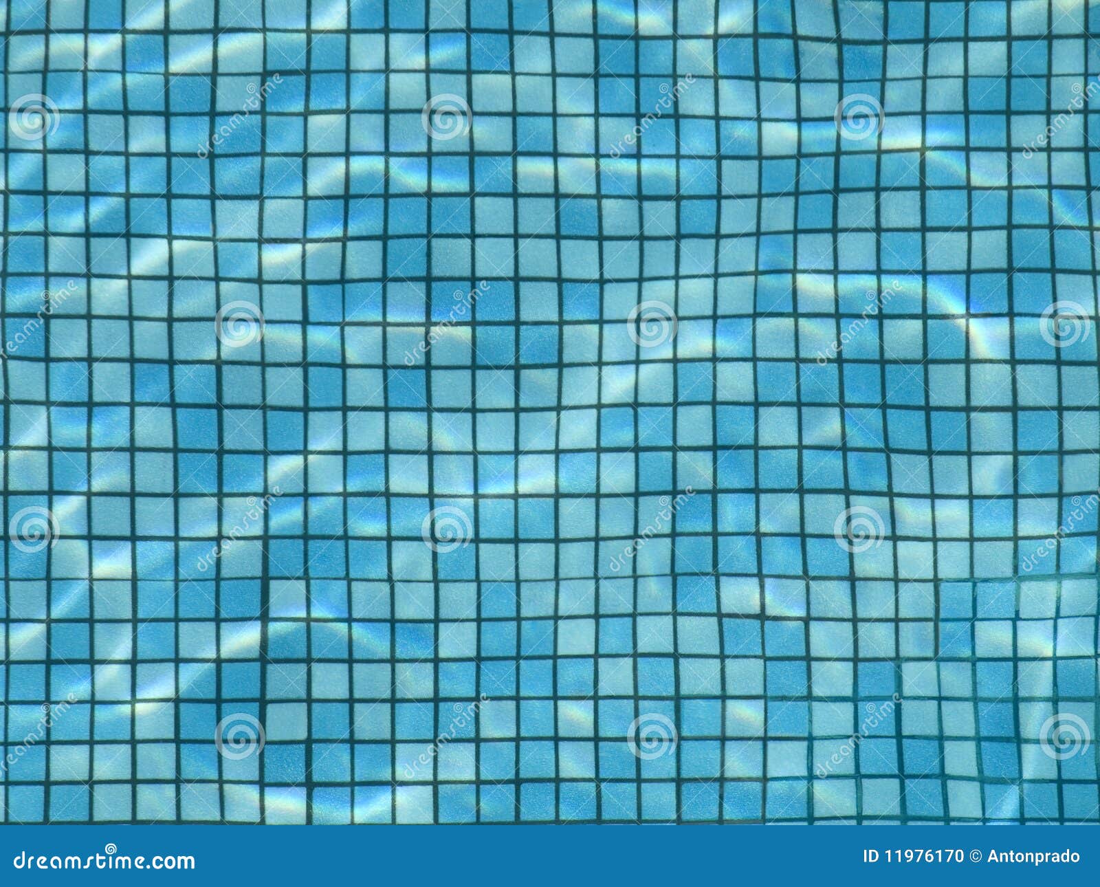 Pool texture stock photo. Image of summer, grid, surface - 11976170