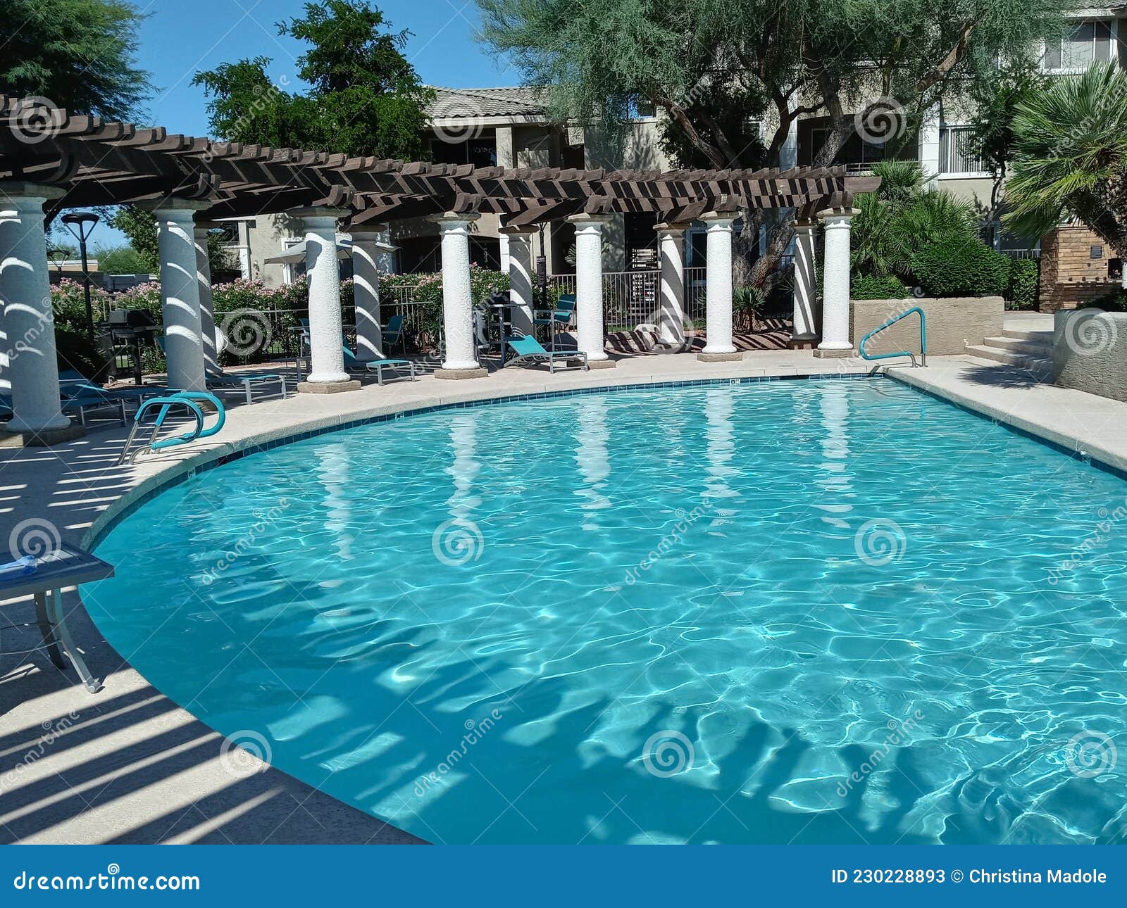 Pool Time Arizona and Swimming Stock Image - Image of time, swimminh ...