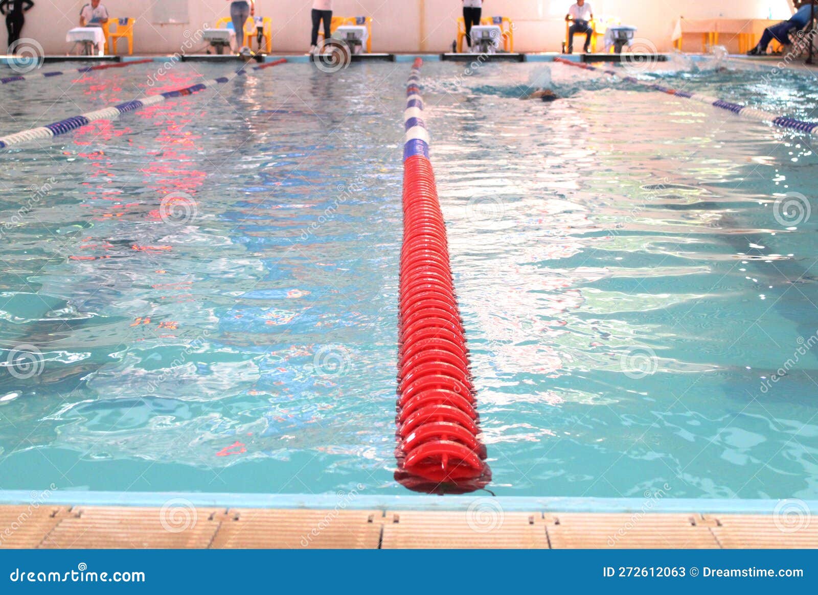 Pool To Develop a Swimming Competition Stock Image - Image of swim ...