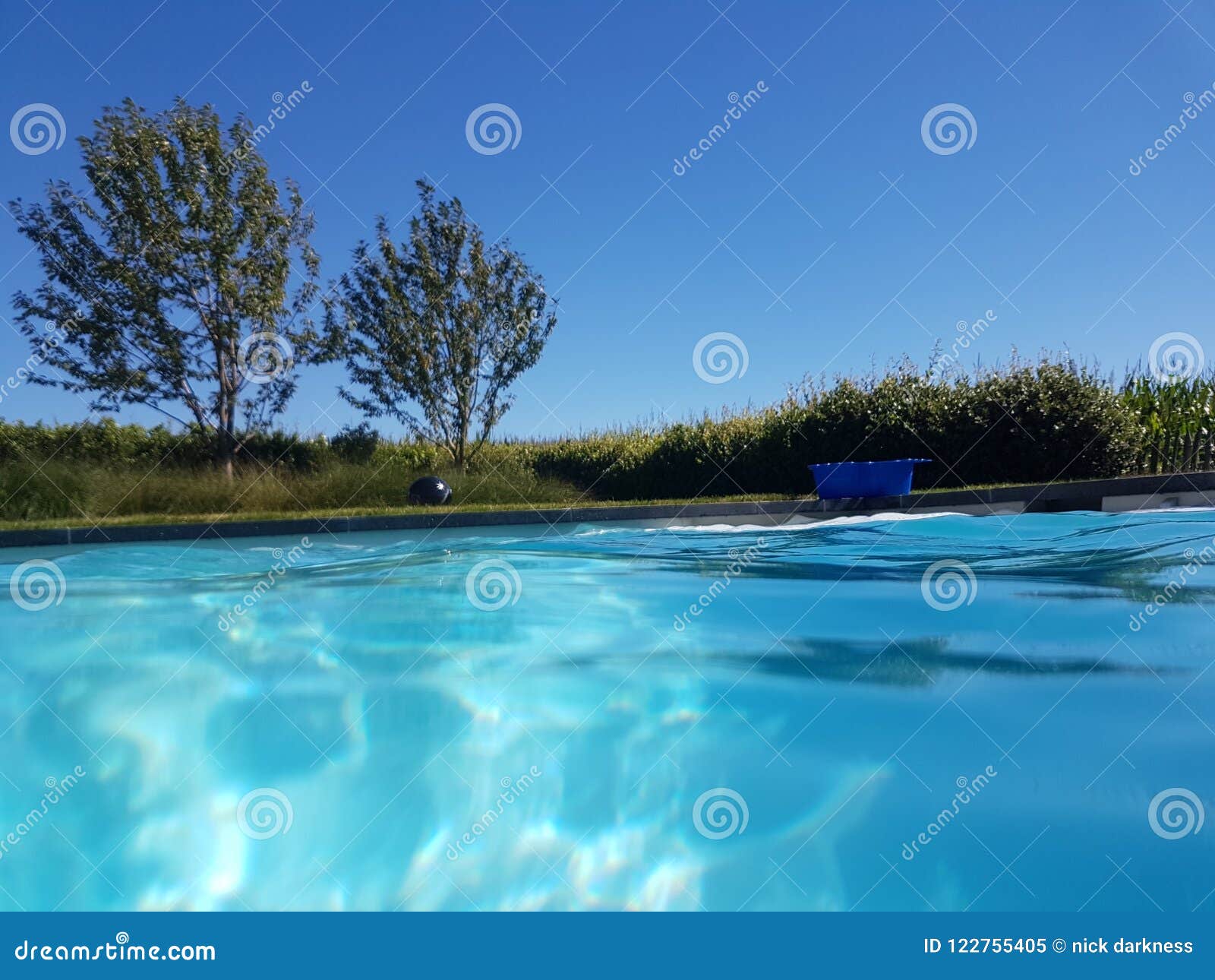 Pool with trees stock image. Image of pool, water, side - 122755405