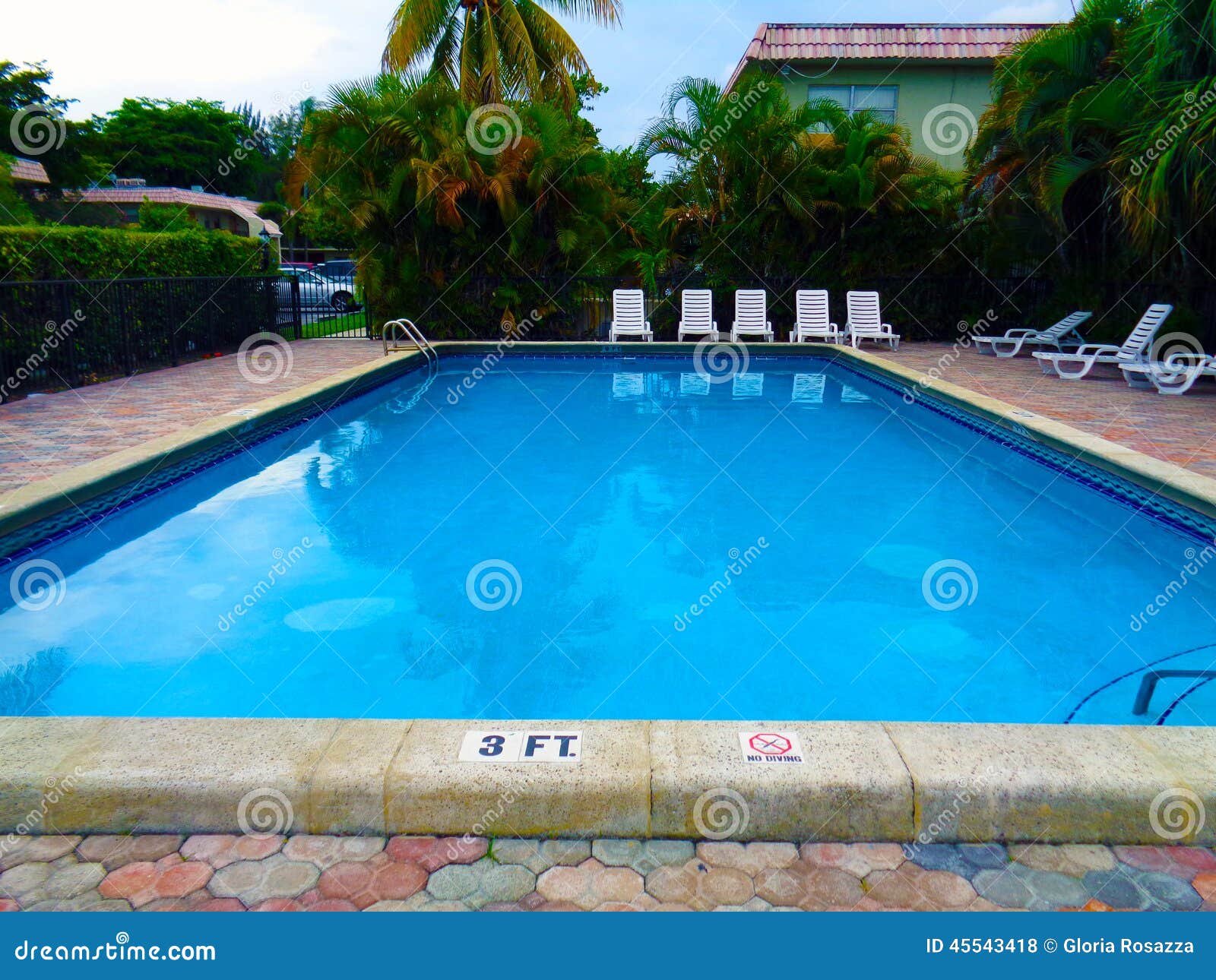 Pool with Vibrant Blue Water Color Stock Photo - Image of marine ...