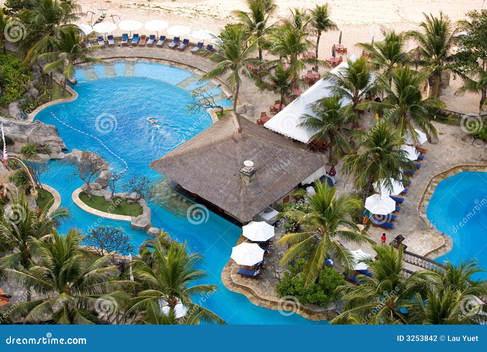 Pool View at Dawn stock photo. Image of water, sand, plant - 3253842