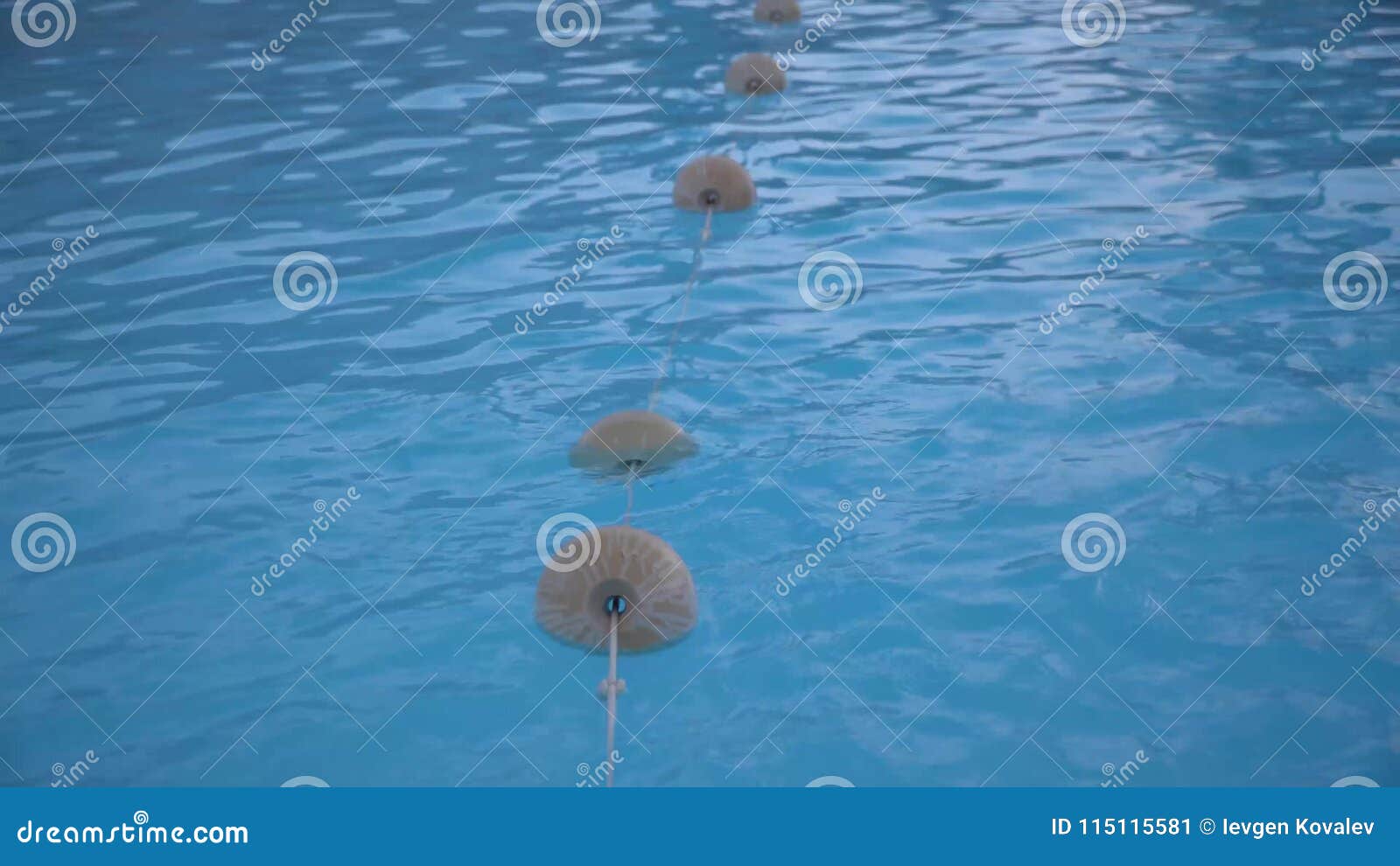 Pool Water Background Loop. Swimming Pool Water Abstract Background ...