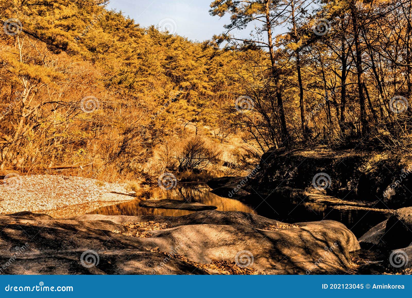 Pool of Water from Mountain Stream Stock Image - Image of evergreen ...