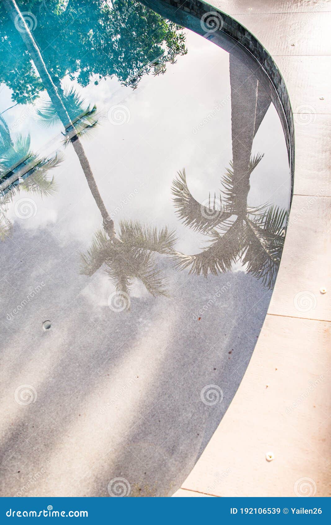 Pool Water Palm Tree Greenery Foliage Reflection during Sunset or ...