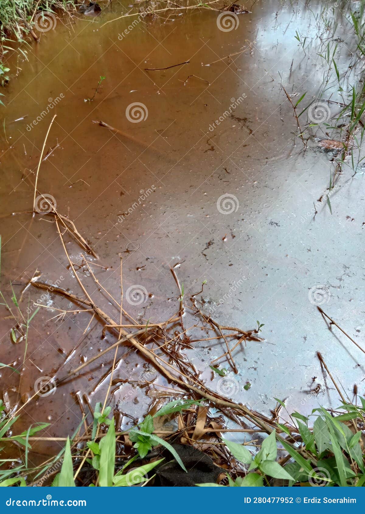 The Pool Water is Slightly Orange in Color Stock Photo - Image of ...