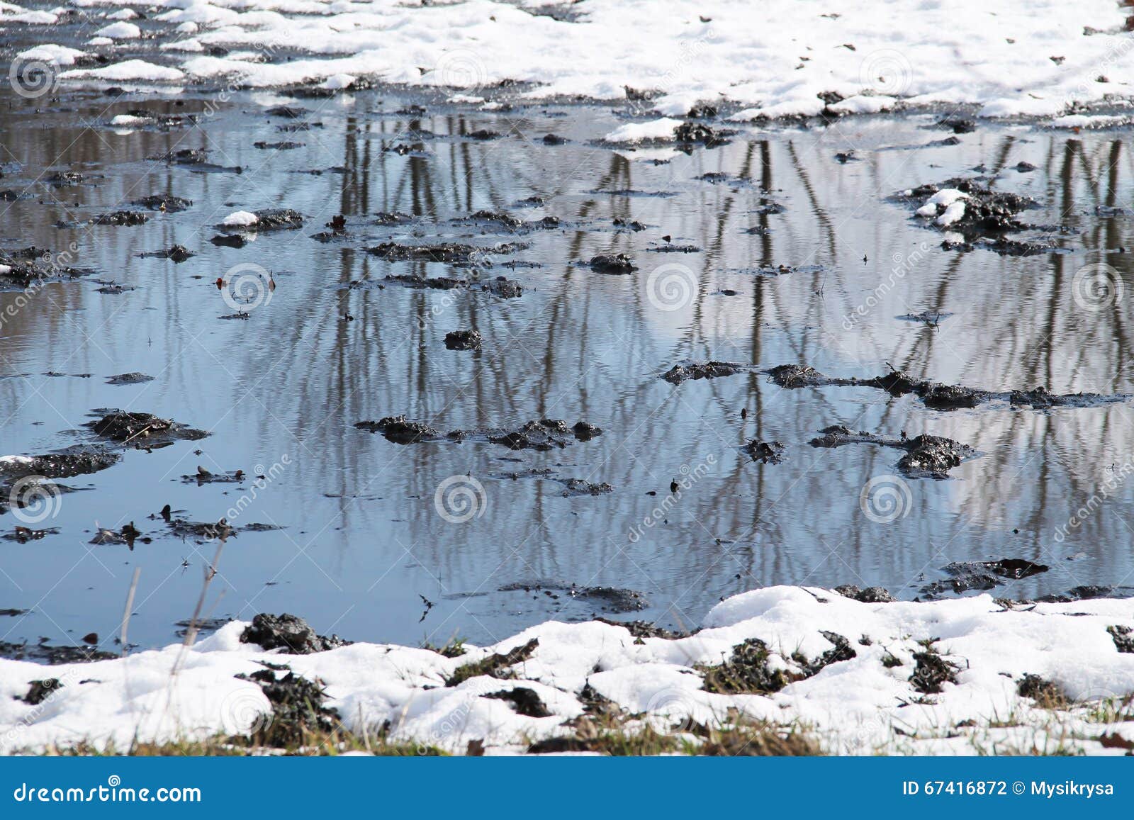 Pool of water in spring stock photo. Image of nature - 67416872