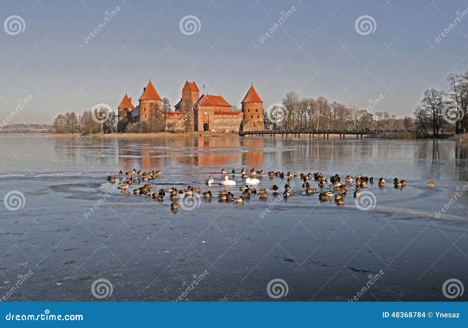 Pool of the Winter stock photo. Image of hope, lithuania - 48368784