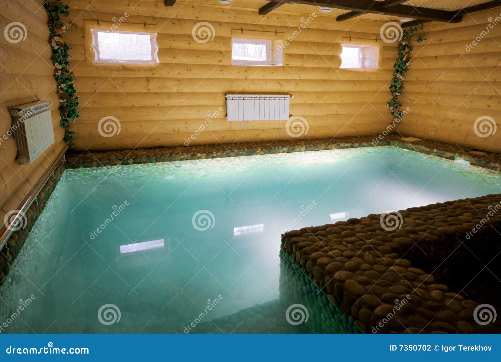 Pool in a wooden sauna stock photo. Image of color, health - 7350702