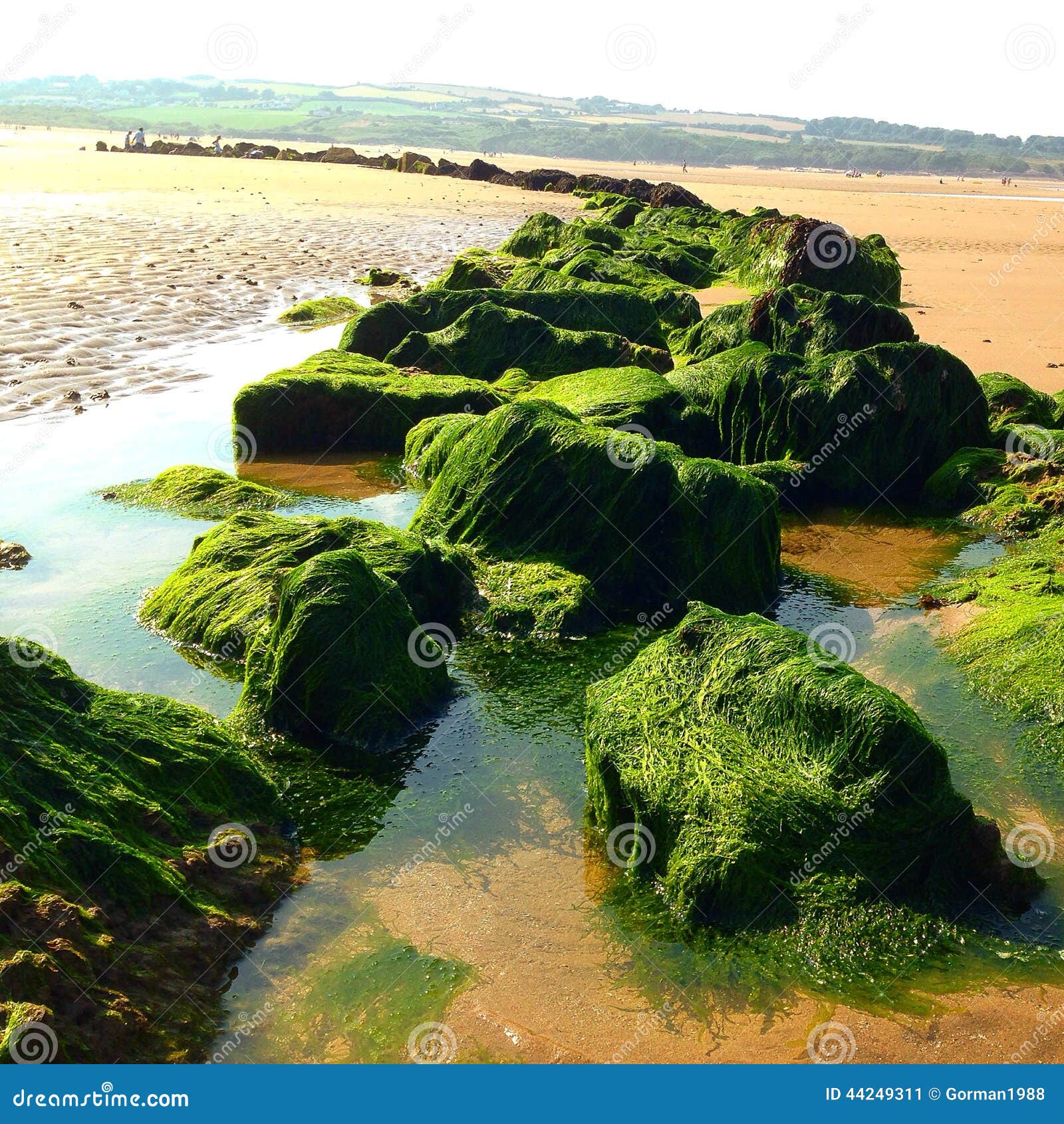 By the pools.... stock image. Image of rockpool, pool - 44249311