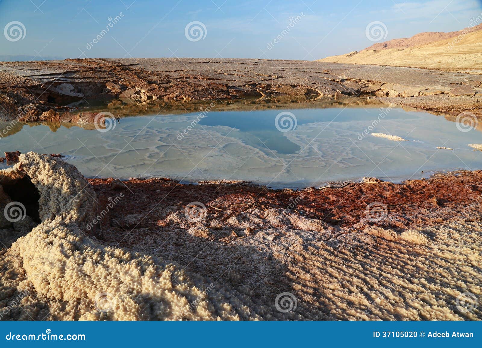 Pools in the Dead Sea area stock photo. Image of minerals - 37105020