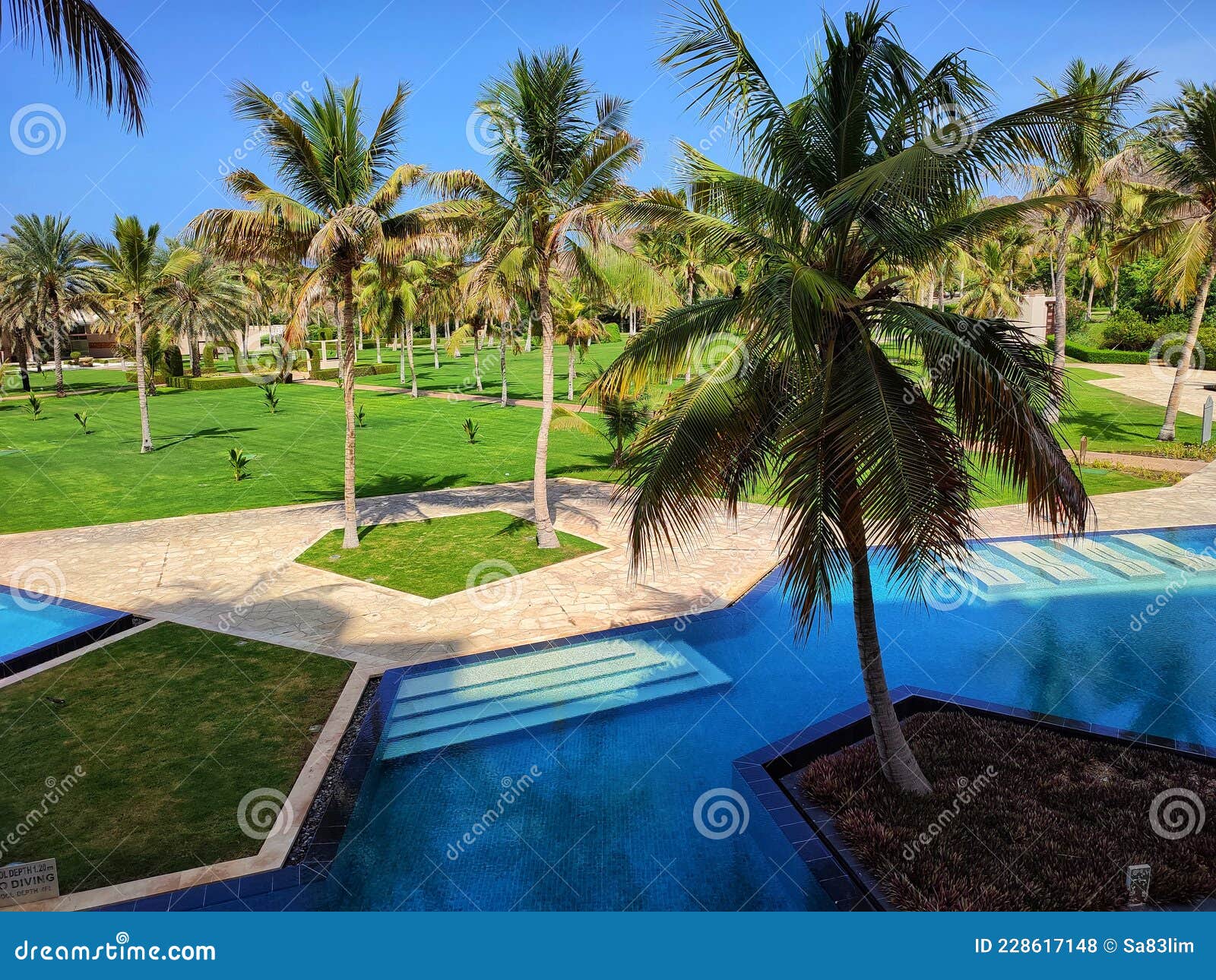 Pools and Resort and Coconut Trees, Muscat, Oman Stock Photo - Image of ...