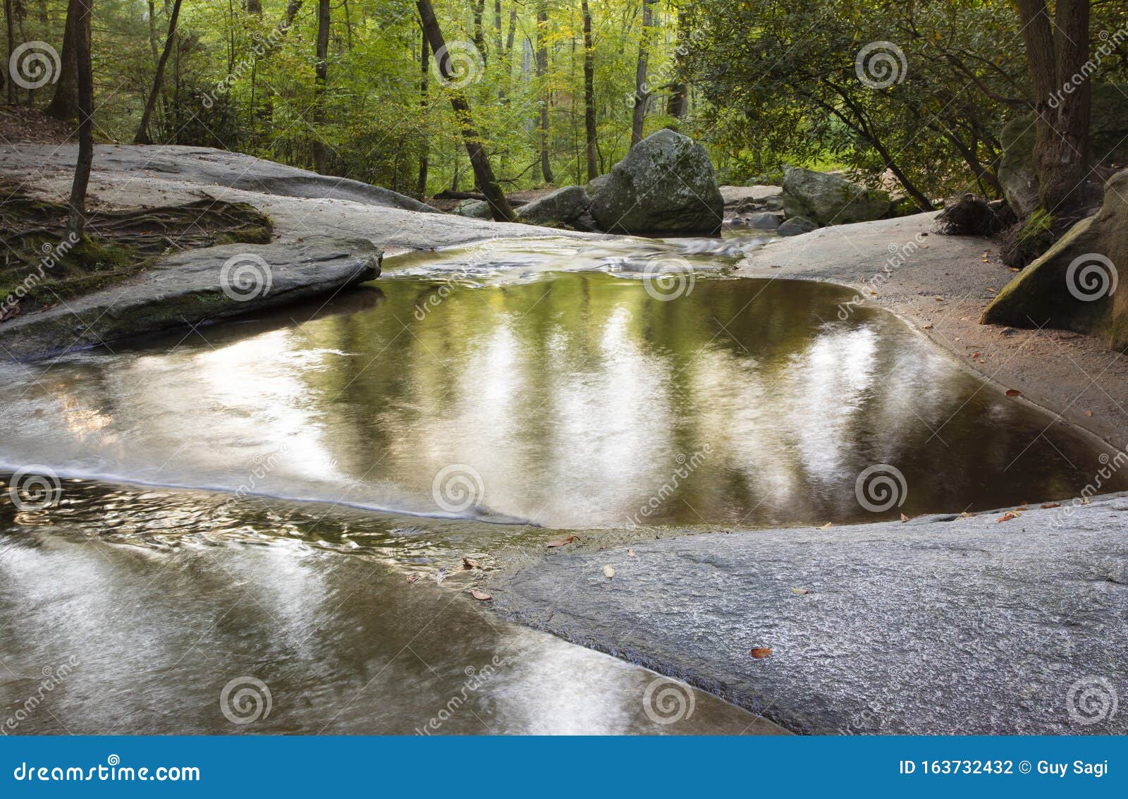 Pools of water on a stream stock photo. Image of trees - 163732432