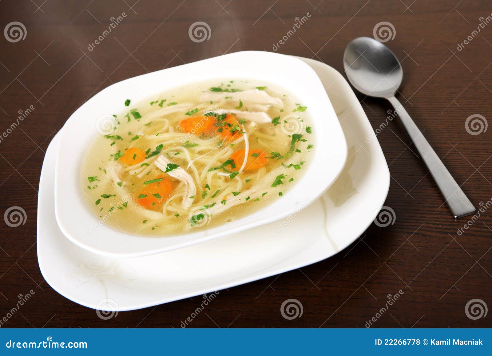 Poolse kippensoep stock foto. Image of plaat, menu, binnenlands - 22266778