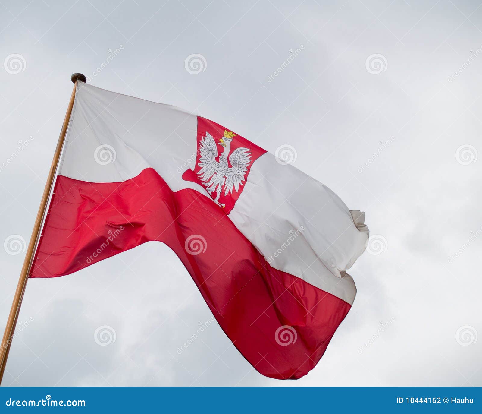 Poolse Vlag stock foto. Image of symbool, golf, pool - 10444162