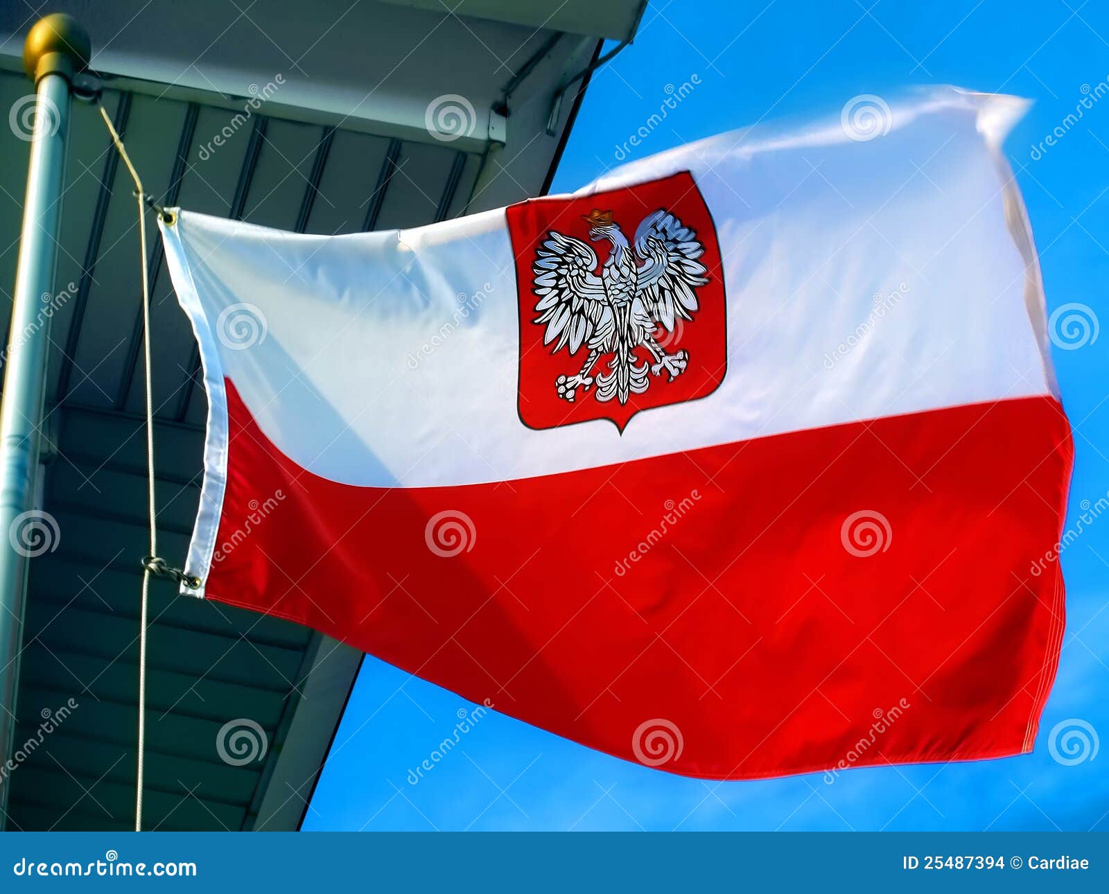 Poolse vlag stock foto. Image of exemplaar, europa, embleem - 25487394