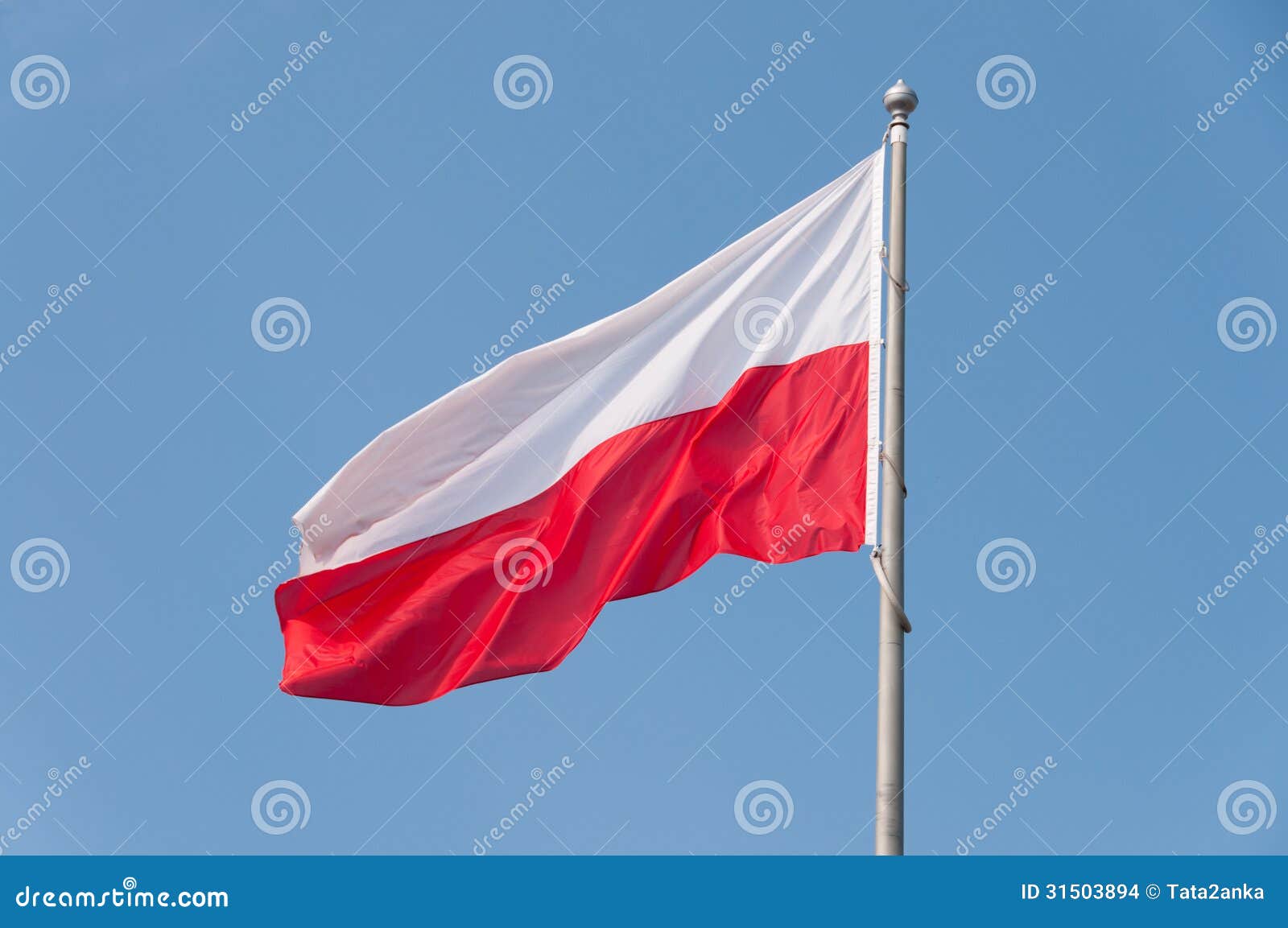 Poolse vlag in de hemel stock foto. Image of patriottisme - 31503894