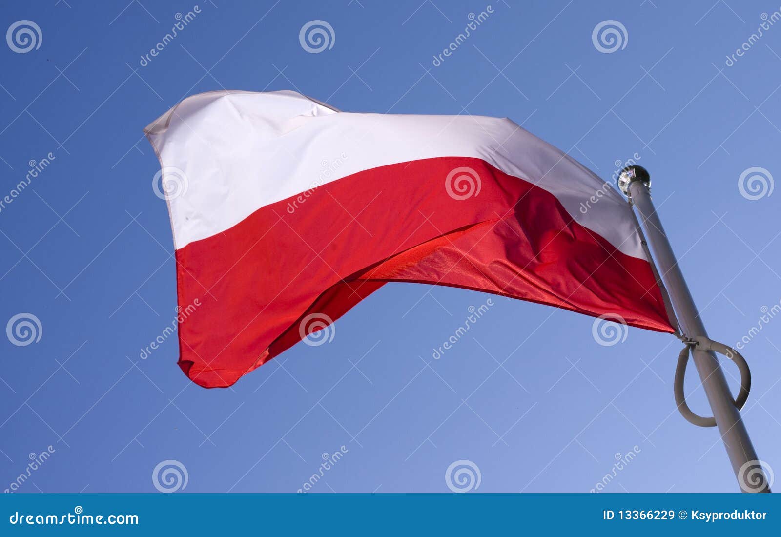 Poolse Vlag Die Op De Wind Vliegt Stock Afbeelding - Image of stroom ...