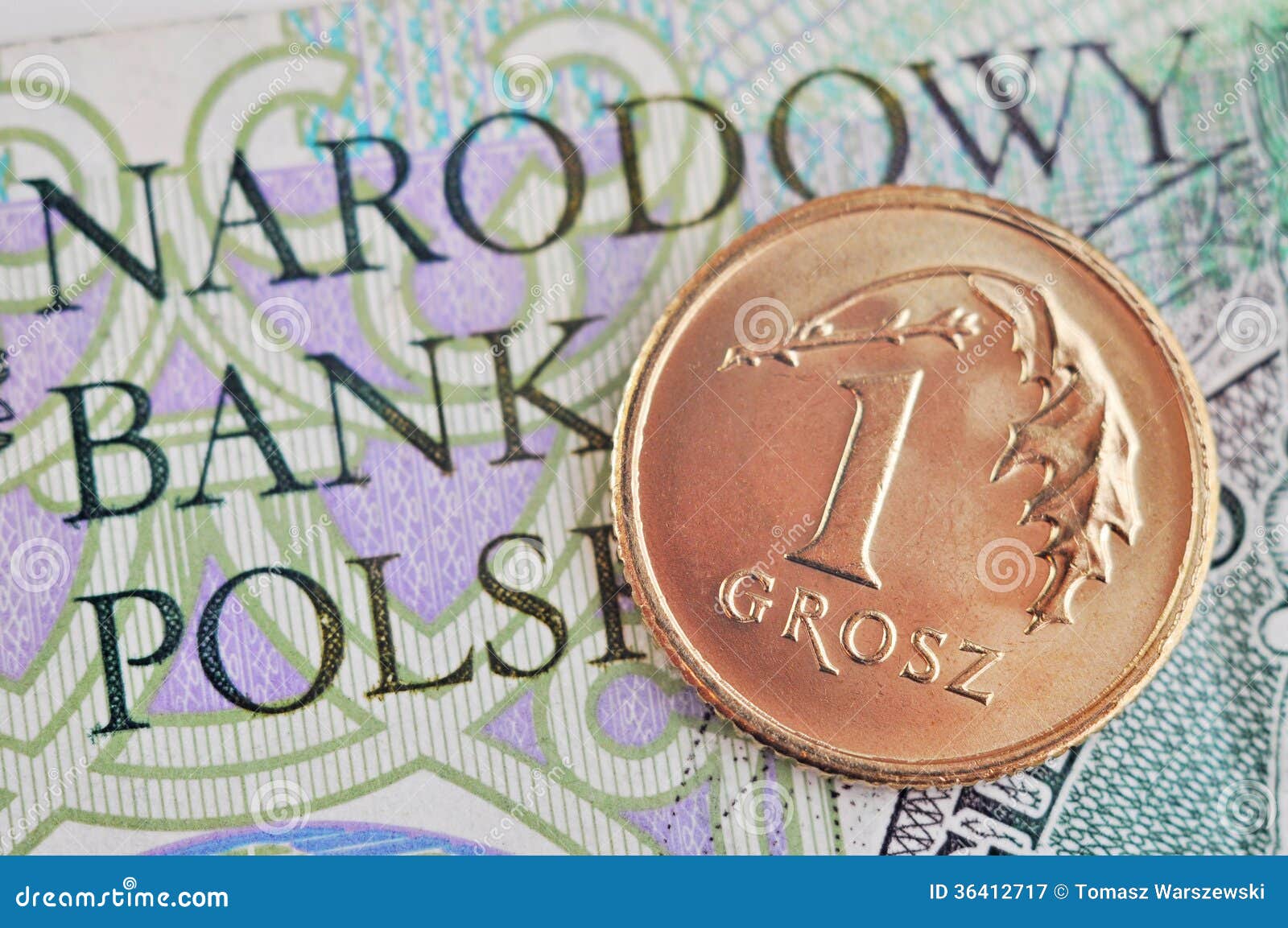 Poolse zloty stock afbeelding. Image of financieel, betaling - 36412717