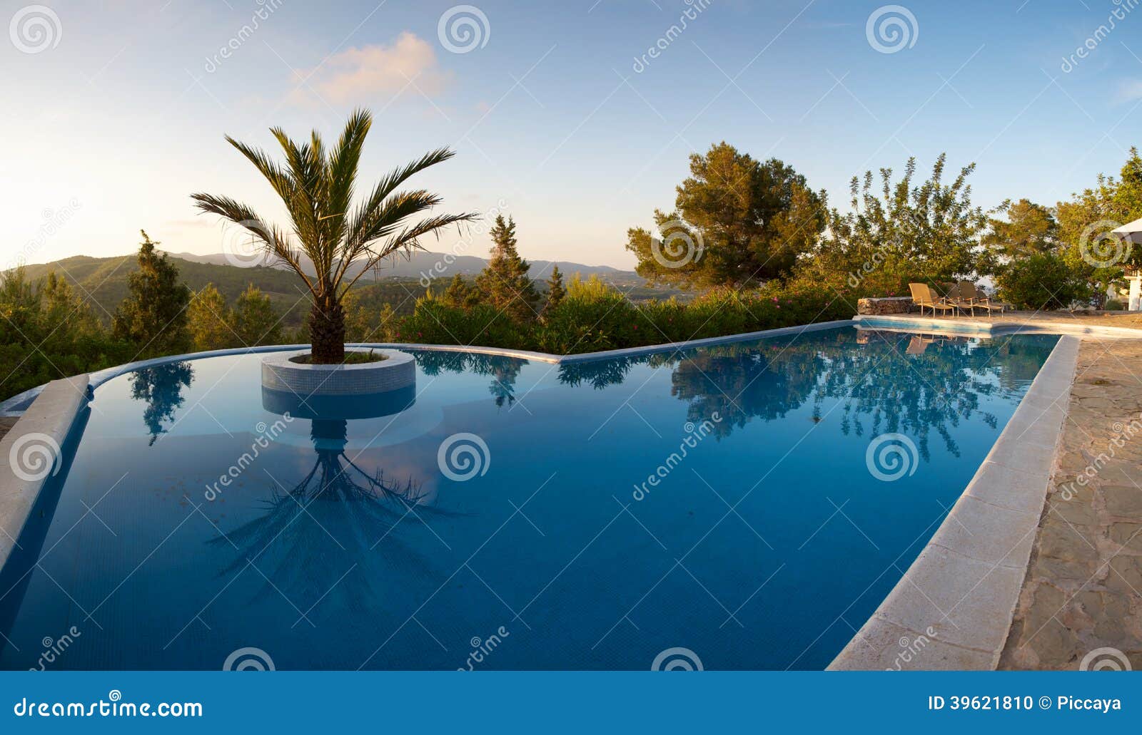 Poolside stock photo. Image of architecture, palm, chair - 39621810
