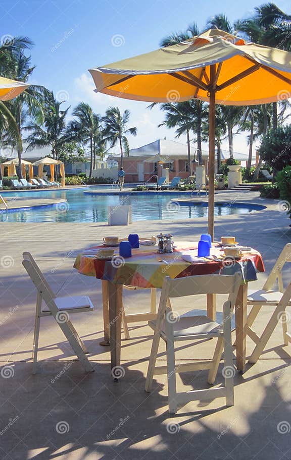 Poolside Dining stock image. Image of brunch, food, escape - 1006475