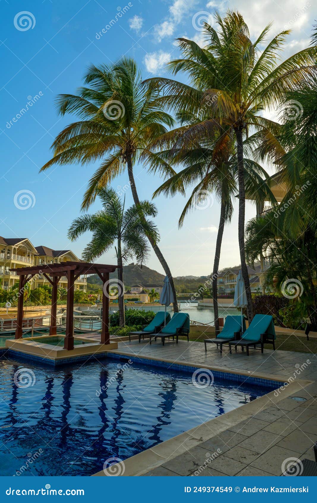 Poolside Palms stock image. Image of morning, lucia - 249374549