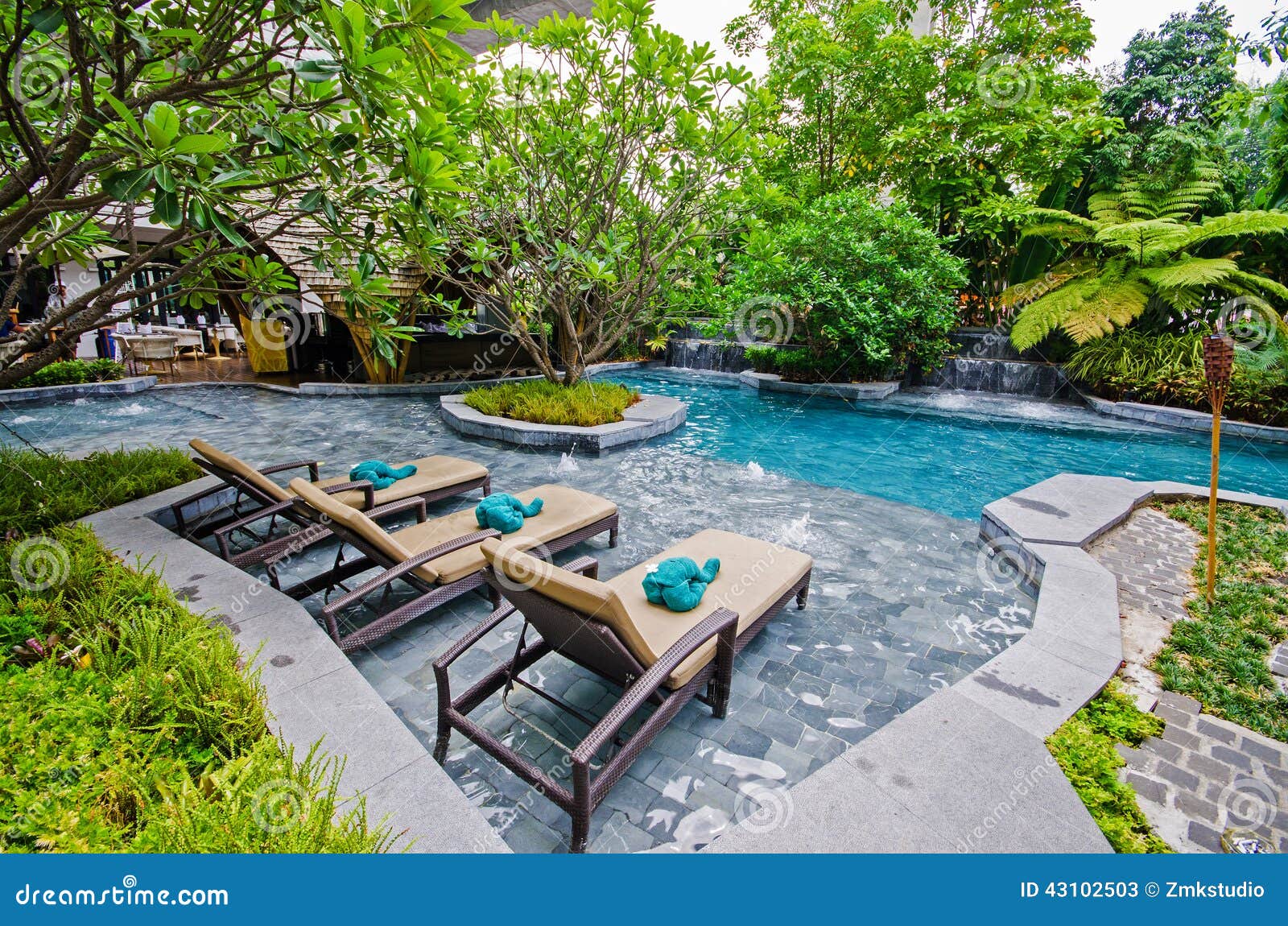 Poolside Relax Chairs in Swimming Pool Stock Image - Image of palm ...