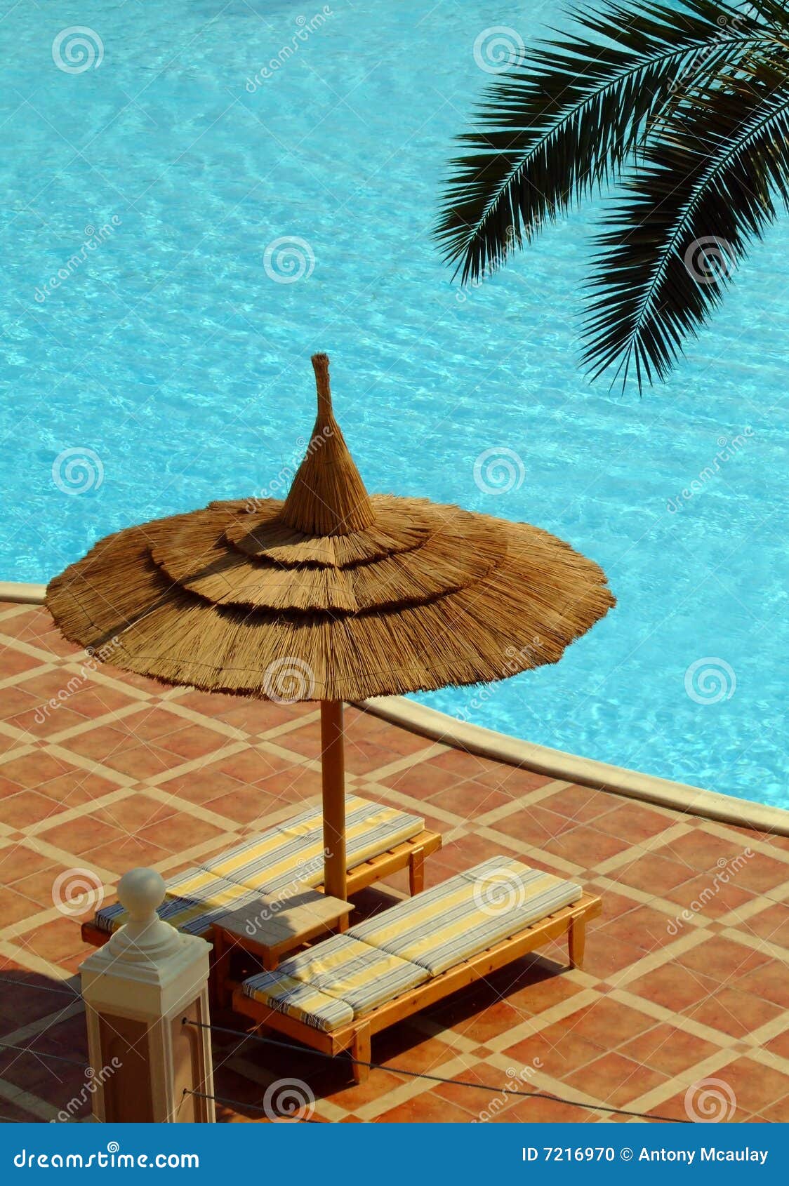 Poolside relaxation stock photo. Image of poolside, beauty - 7216970