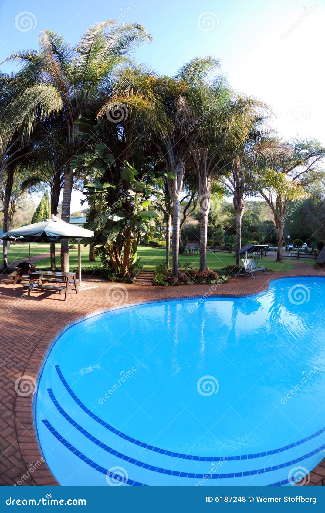 Poolside Shade stock photo. Image of paved, palm, poolside - 6187248