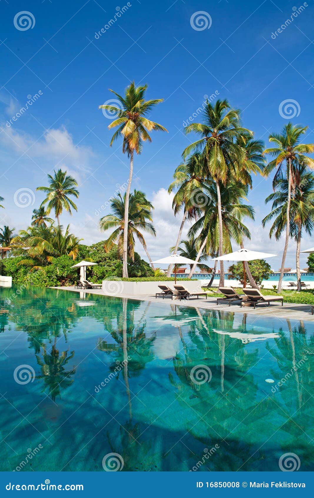 Poolside on the Tropical Island Stock Photo - Image of poolside ...