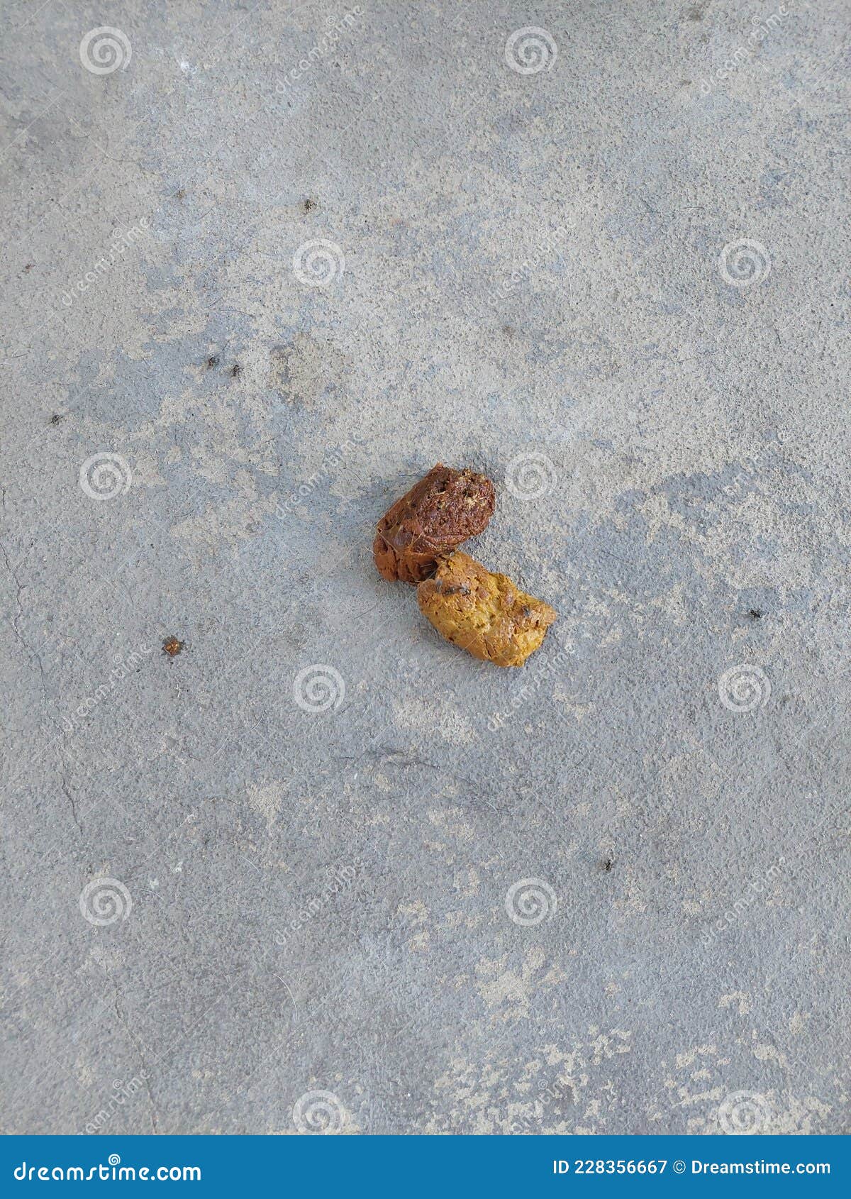 Poop stock image. Image of real, feces, poop, doodoo - 228356667