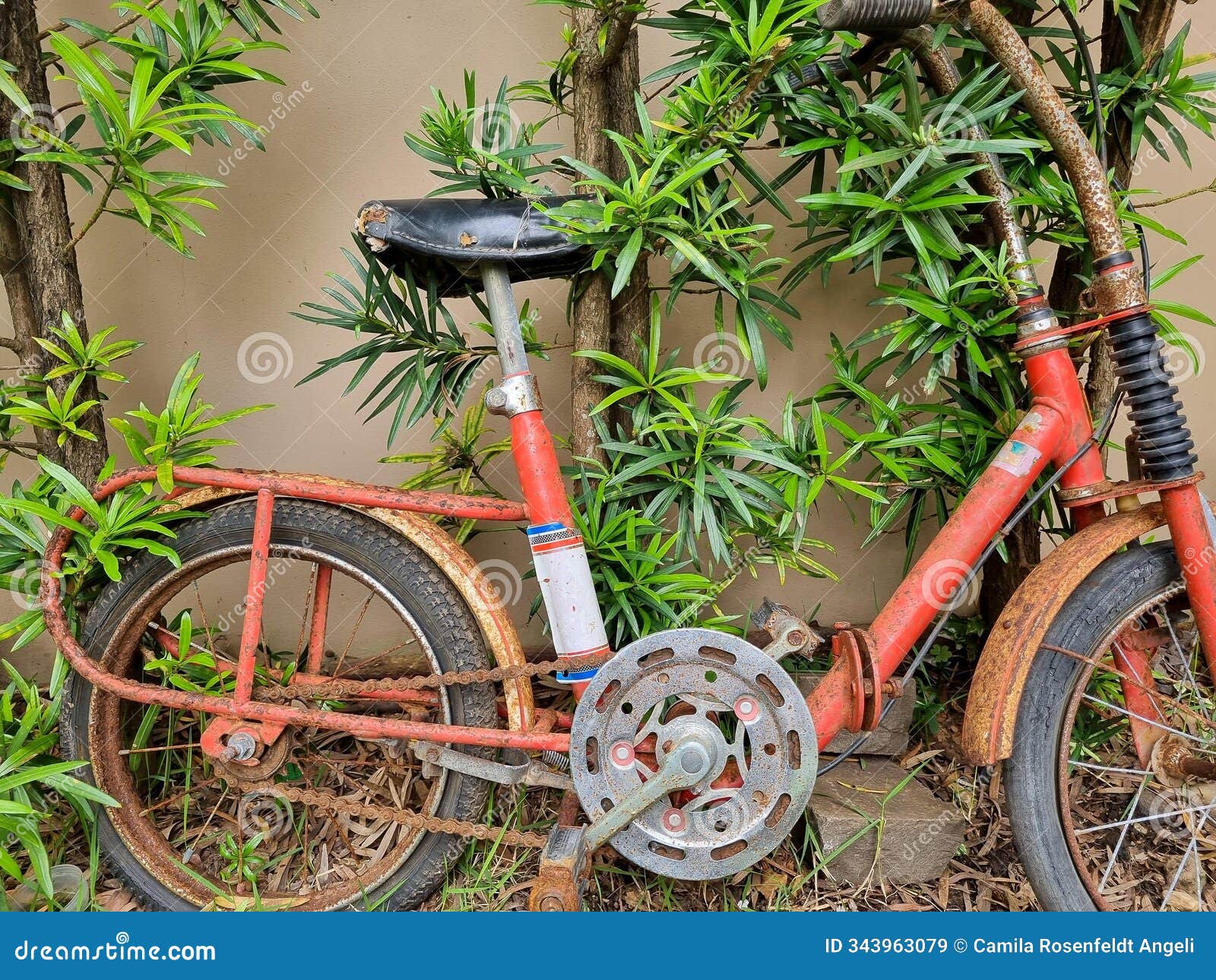 Poor abandoned bike stock image. Image of abandoned - 343963079