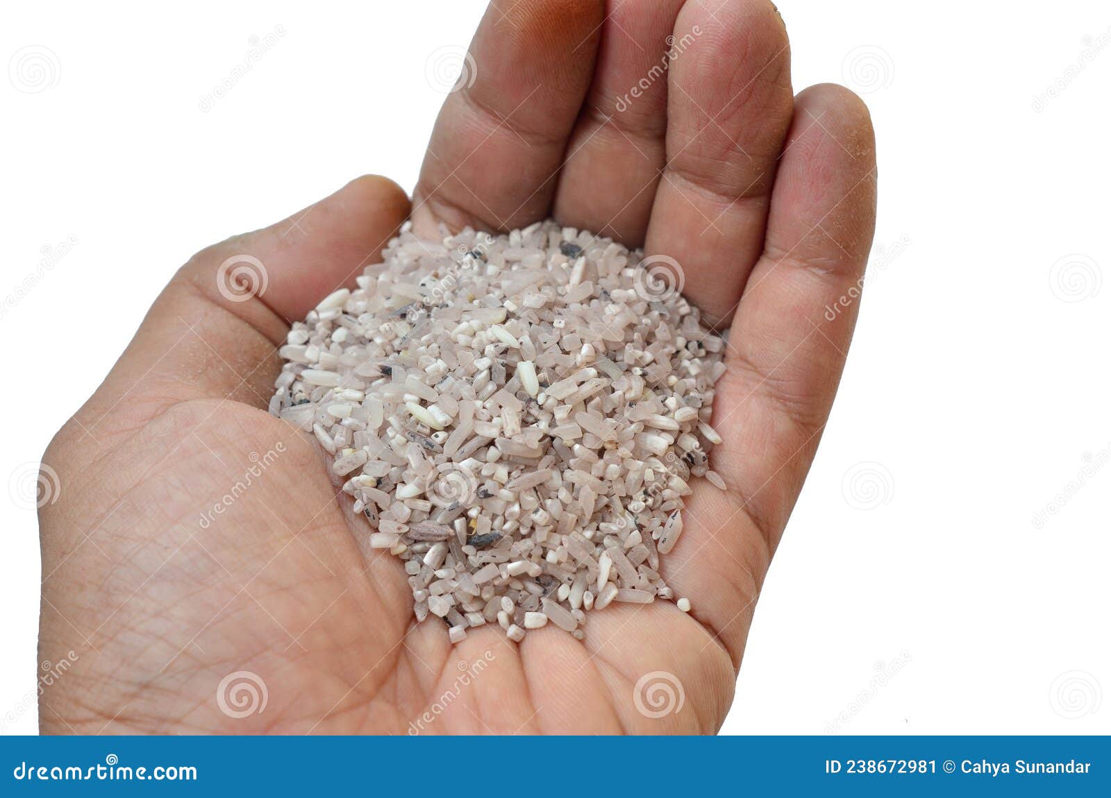 Poor Black Rice at Hand Isolated at White Baclground Stock Image ...