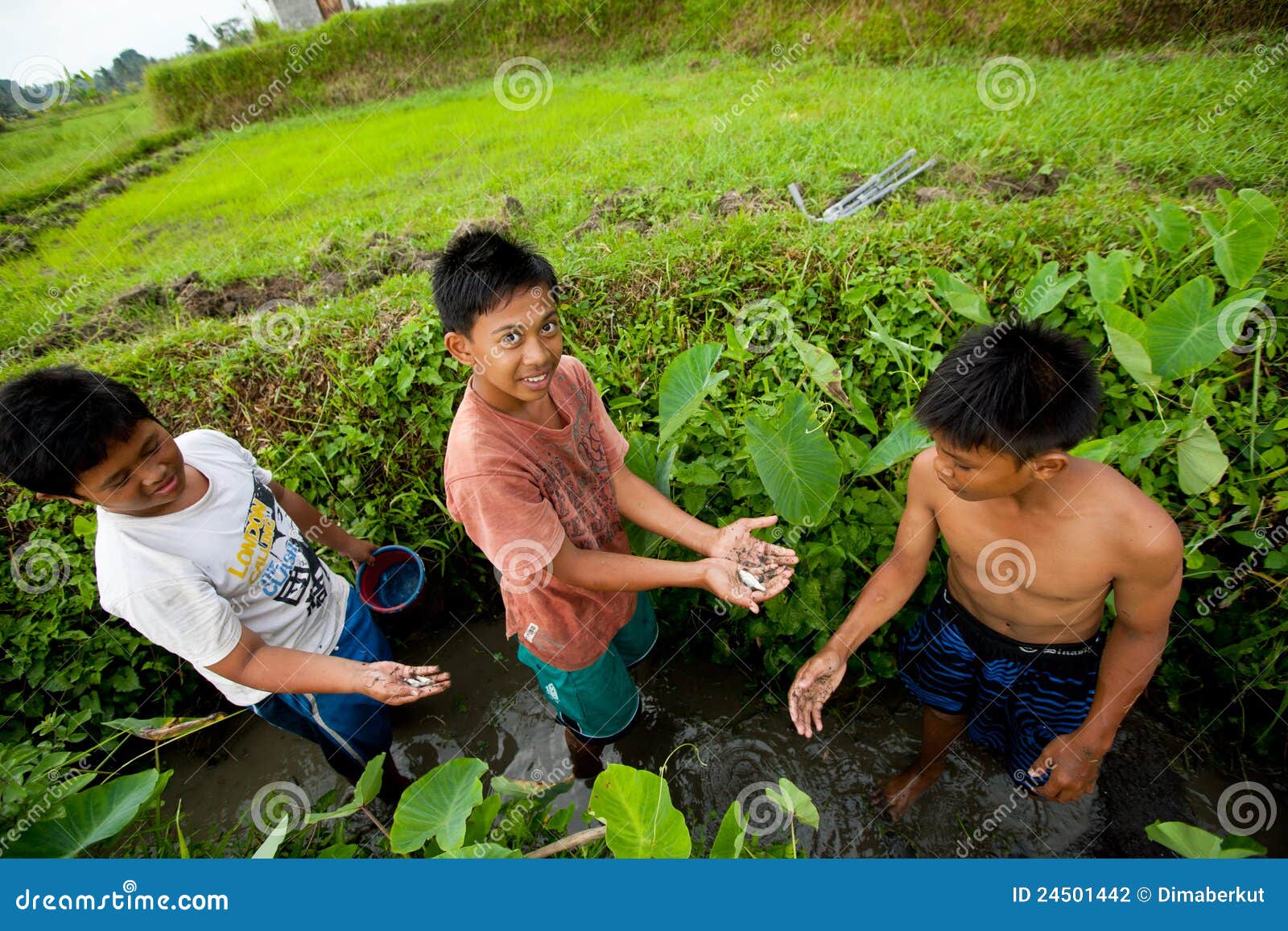 Poor Child Catches Small Fish in a Ditch Editorial Photography - Image ...