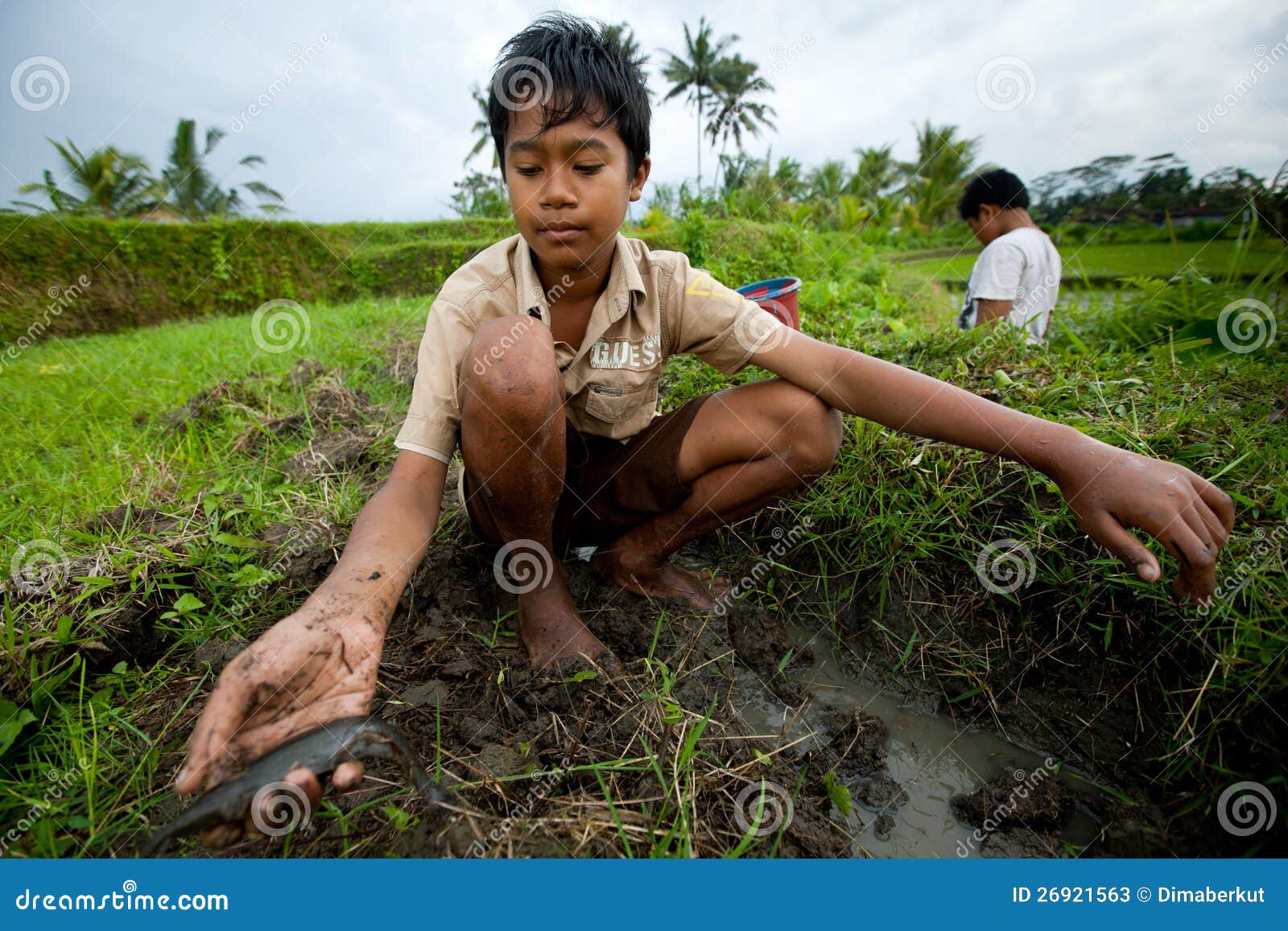 Poor children from Bali editorial stock photo. Image of outdoor - 26921563