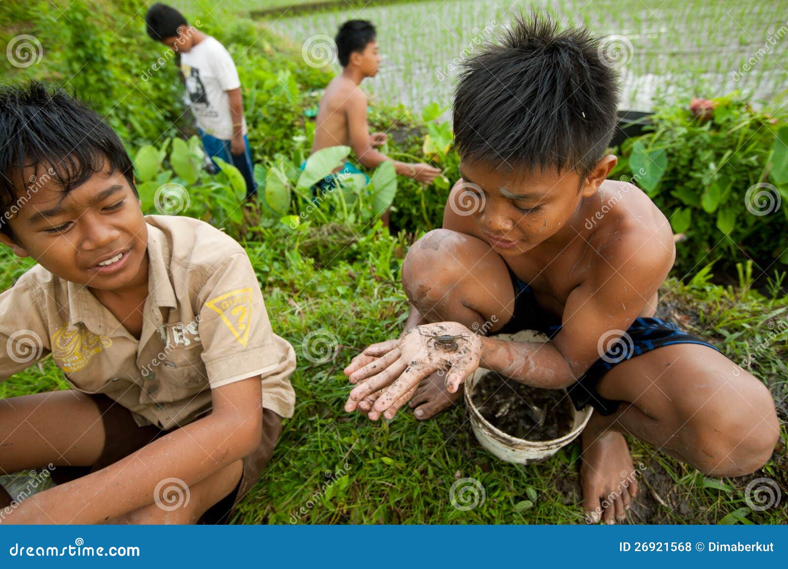 Poor Children Catch Small Fish in a Ditch Editorial Stock Photo - Image ...