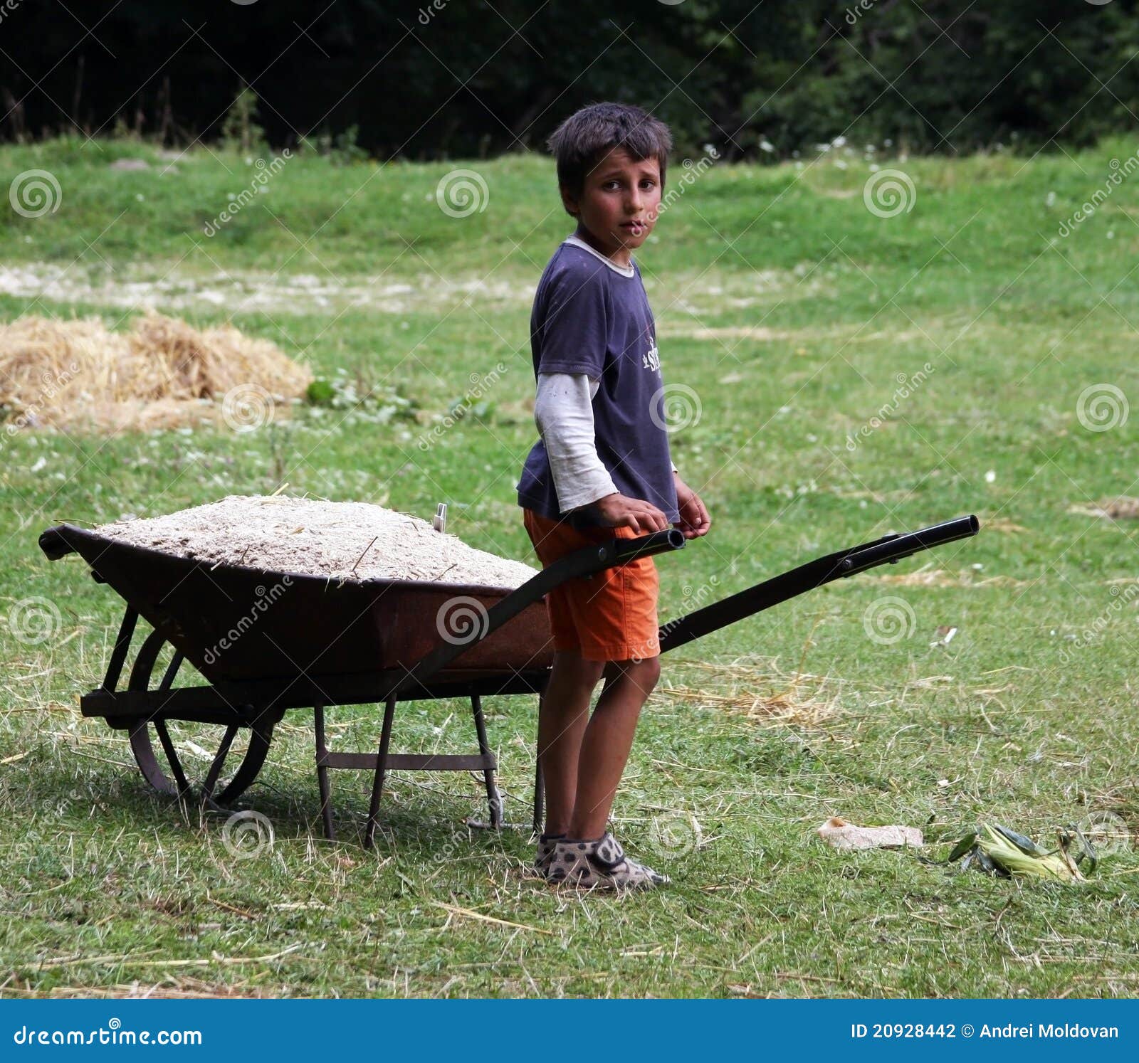 Poor Children Working