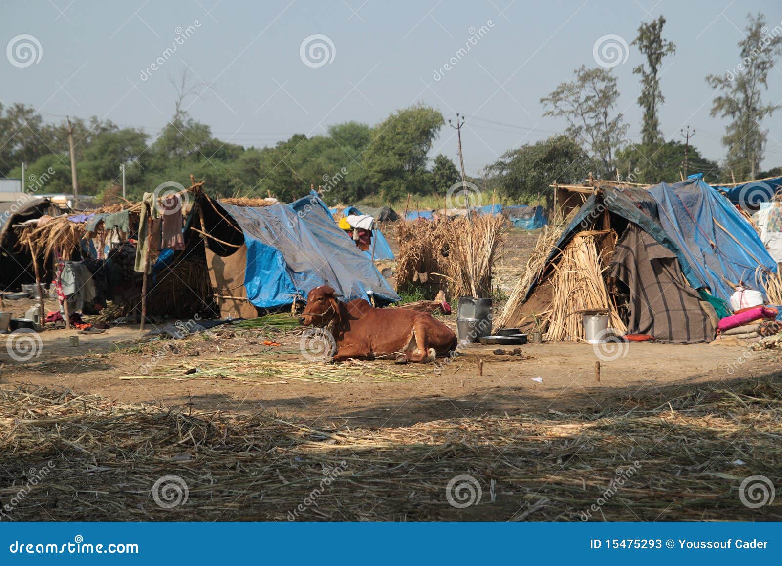 Poor dwellings stock image. Image of gujarat, house, village - 15475293