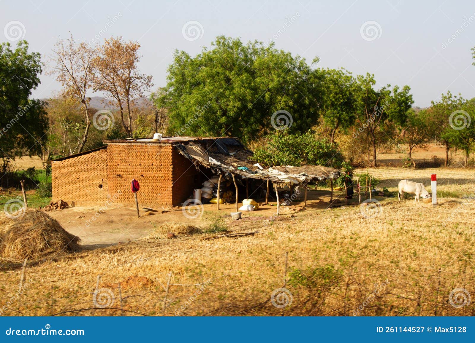 Poor farm. Madhya Pradesh stock image. Image of fields - 261144527