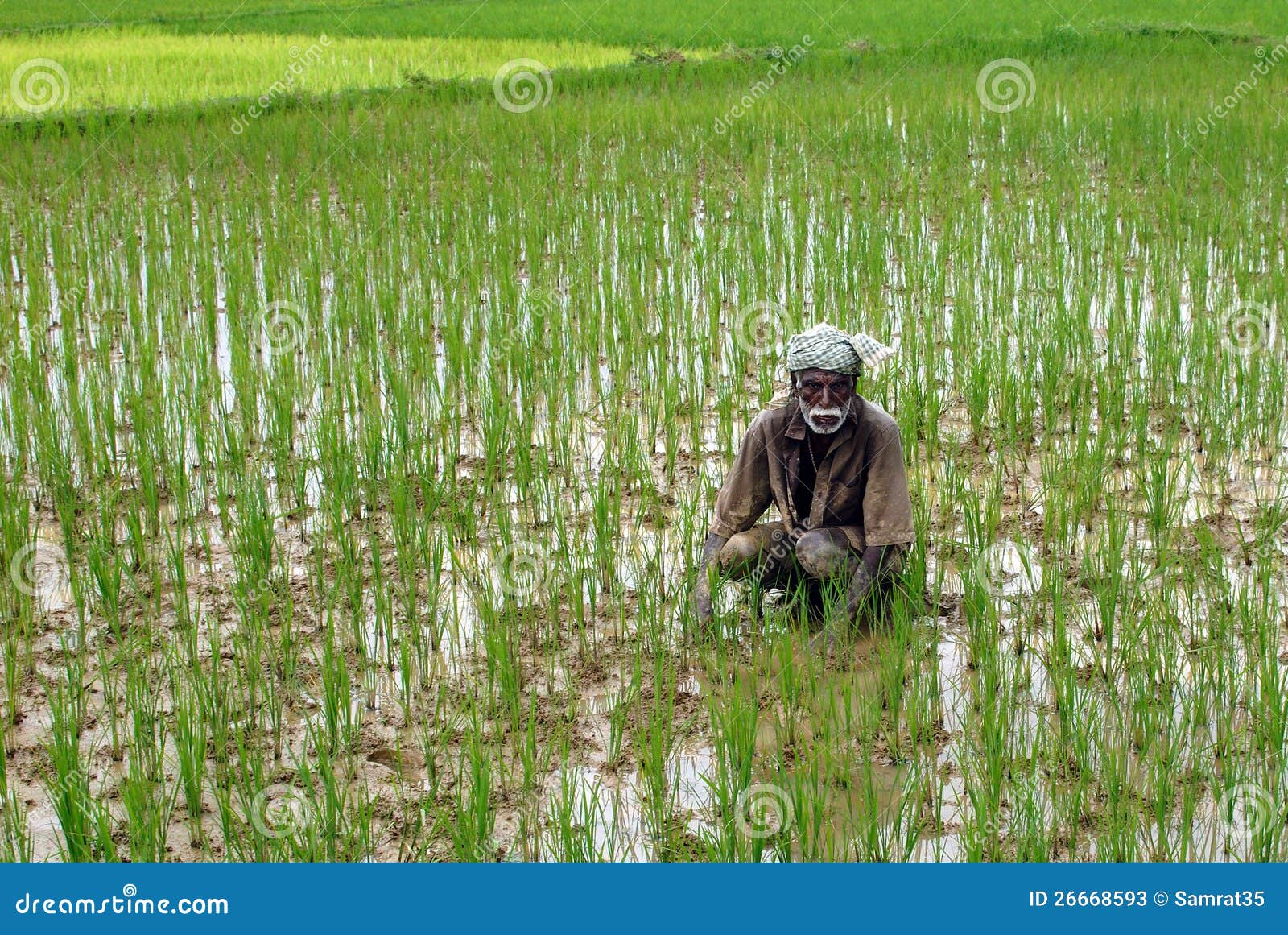 Poor Farmer Editorial Stock Photo - Image: 26668593