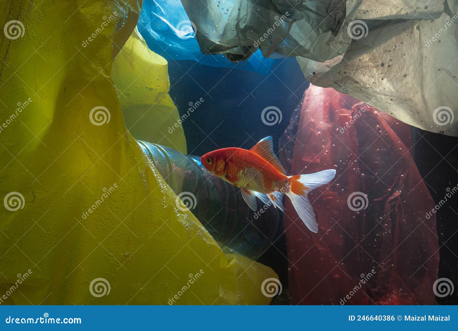 Fish Surrounded by Plastic Trash Stock Photo - Image of diving, grouper ...