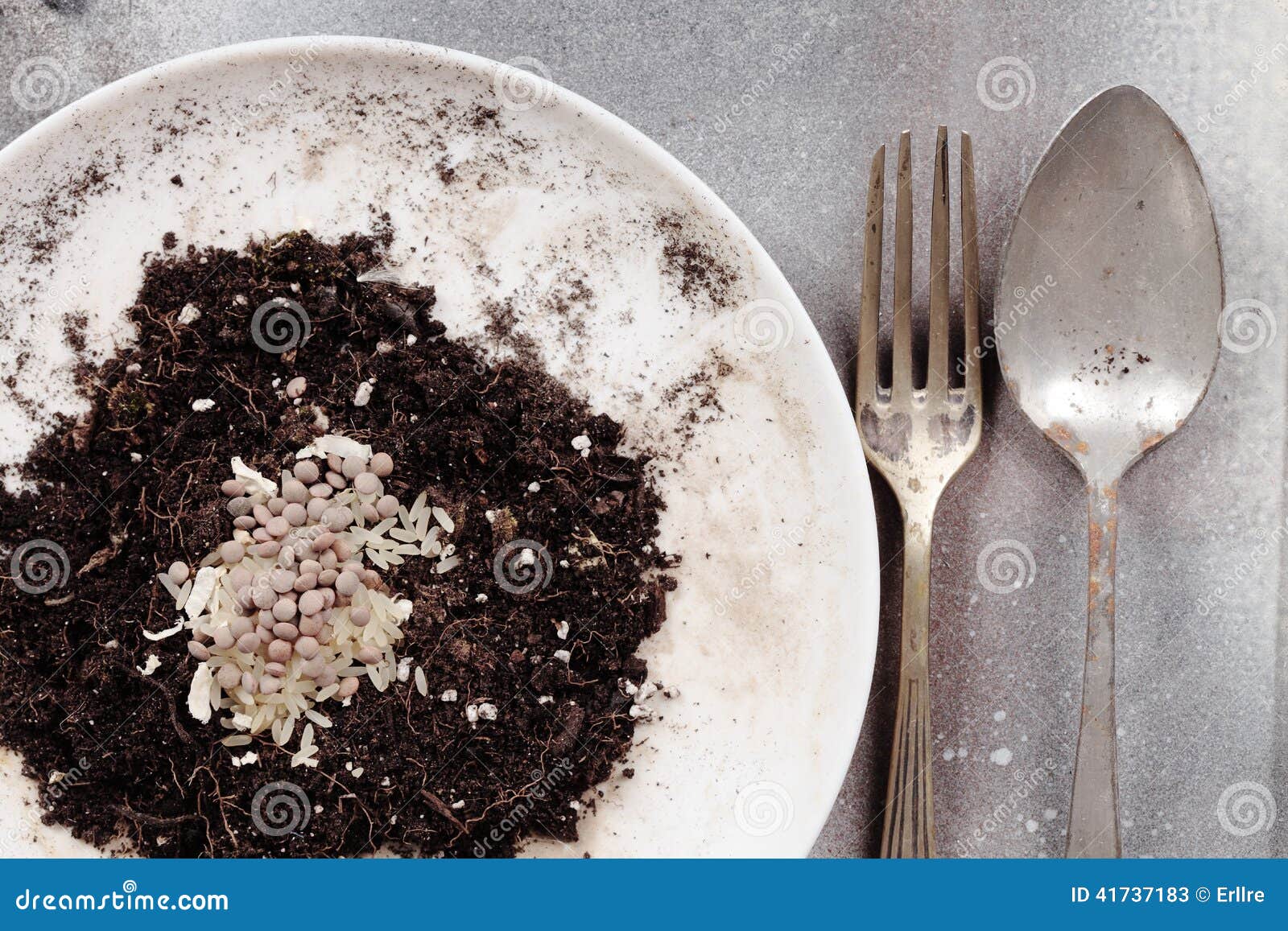 Poor food stock image. Image of crisis, food, poor, toxic - 41737183