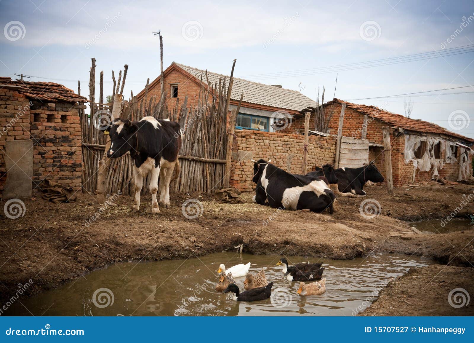 Poor housing in a village stock image. Image of farm - 15707527