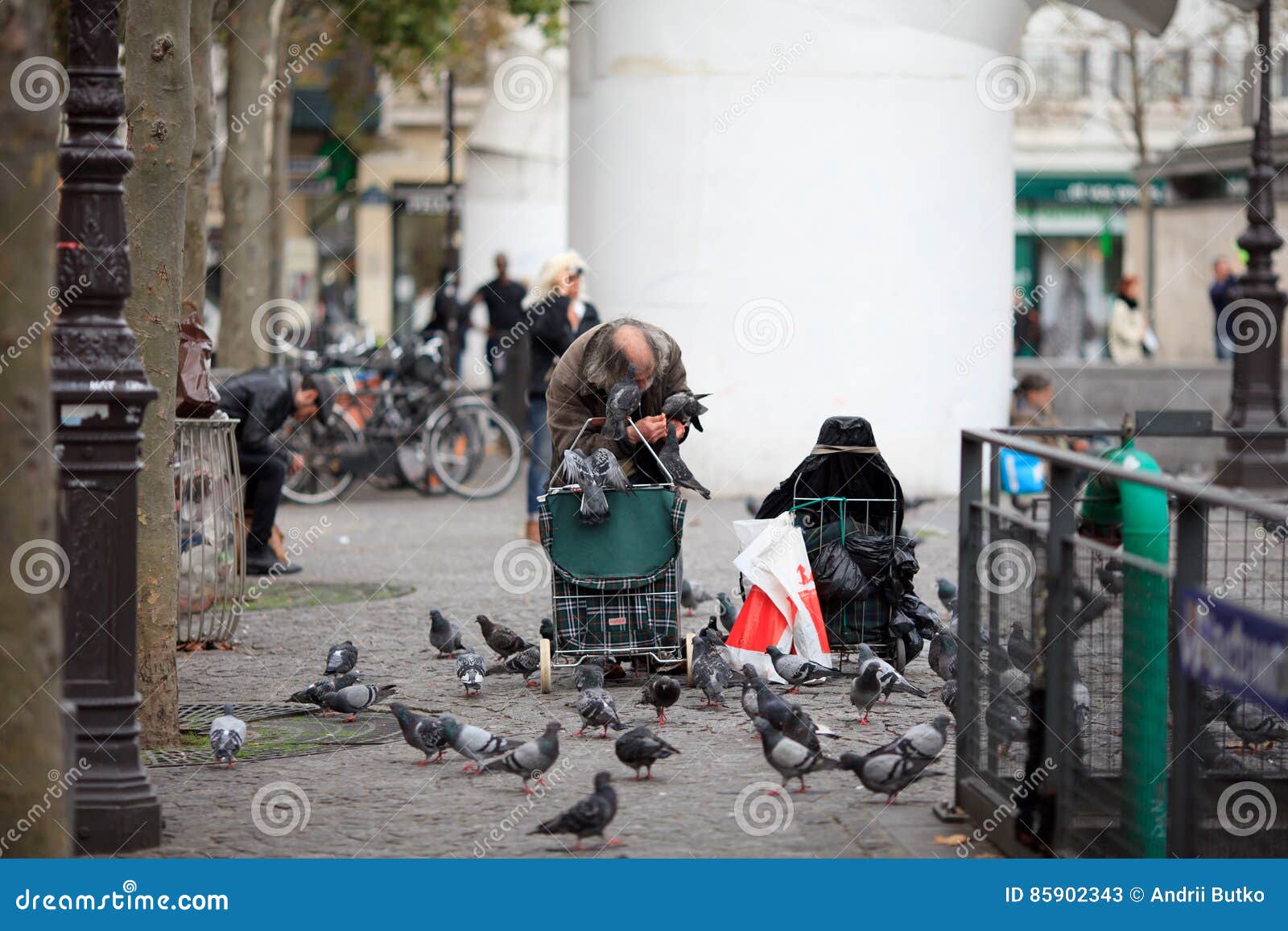 Poor Man Feeding Pigeons in the Street Stock Image - Image of people ...