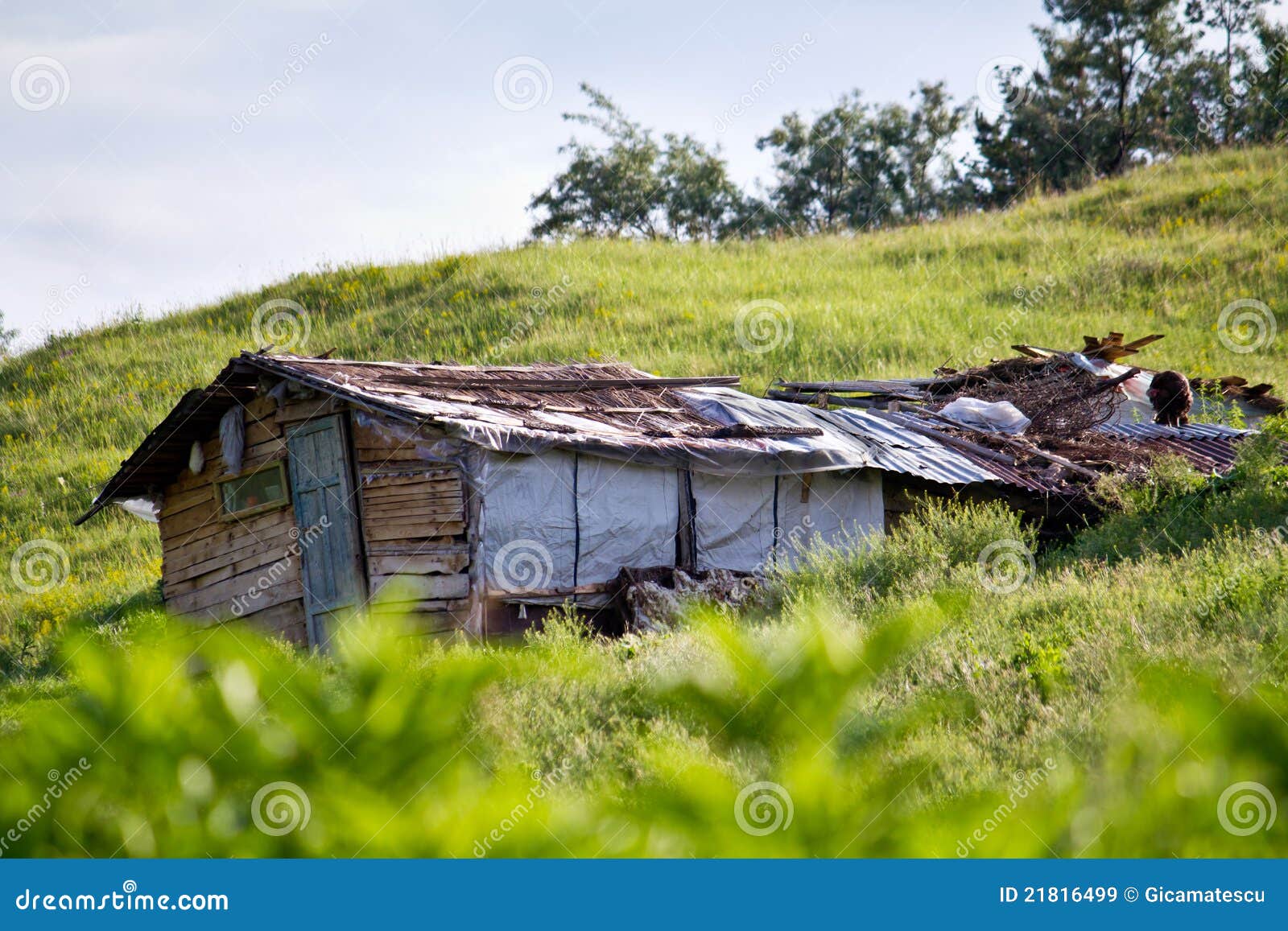 Poor man s house stock image. Image of hamlet, nettles - 21816499