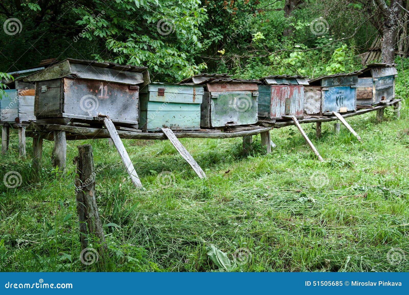 Poor old beehives stock image. Image of crappy, hive - 51505685