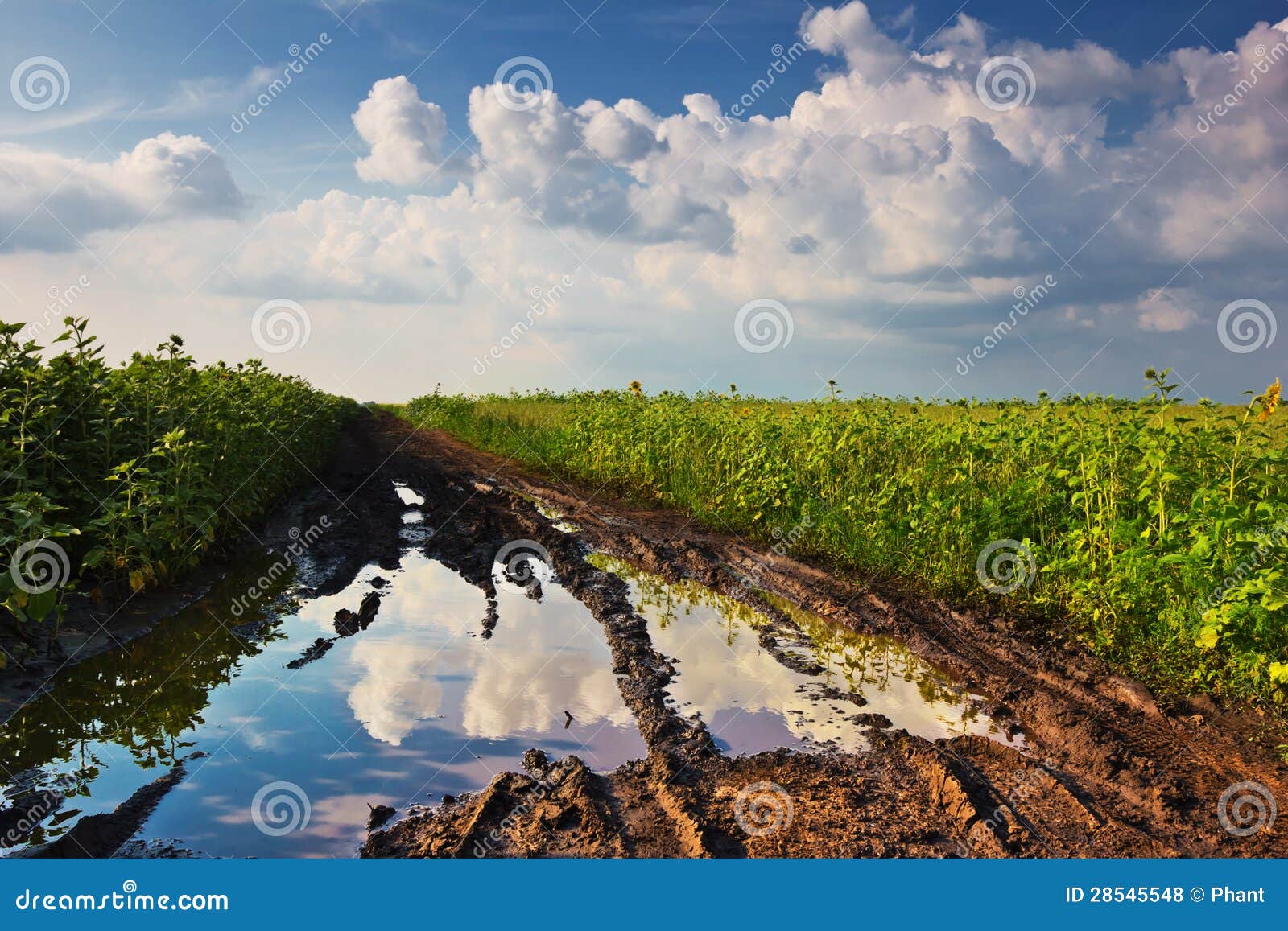 Poor Old Car Road Background Material Texture Perspective ...